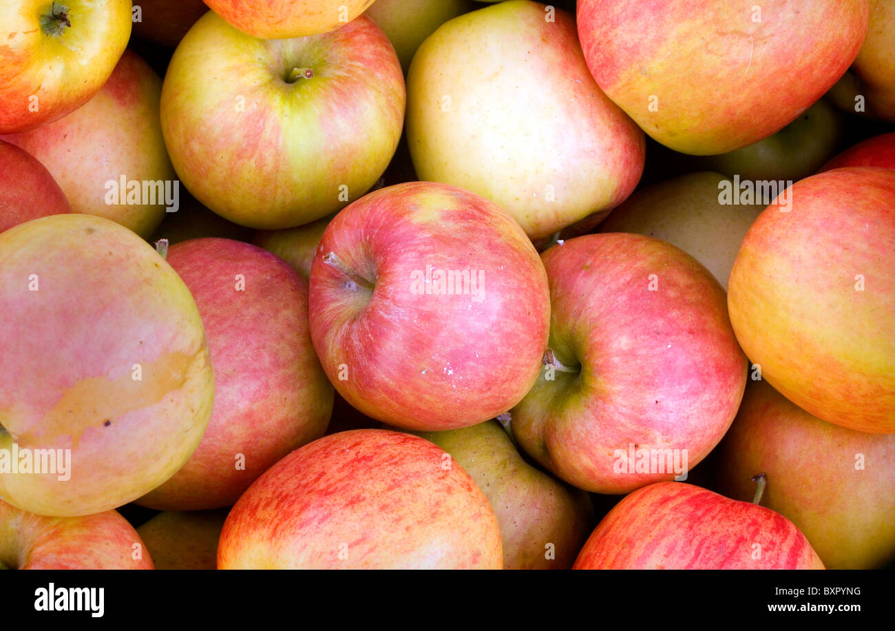 Fruit from kent hi-res stock photography and images - Alamy