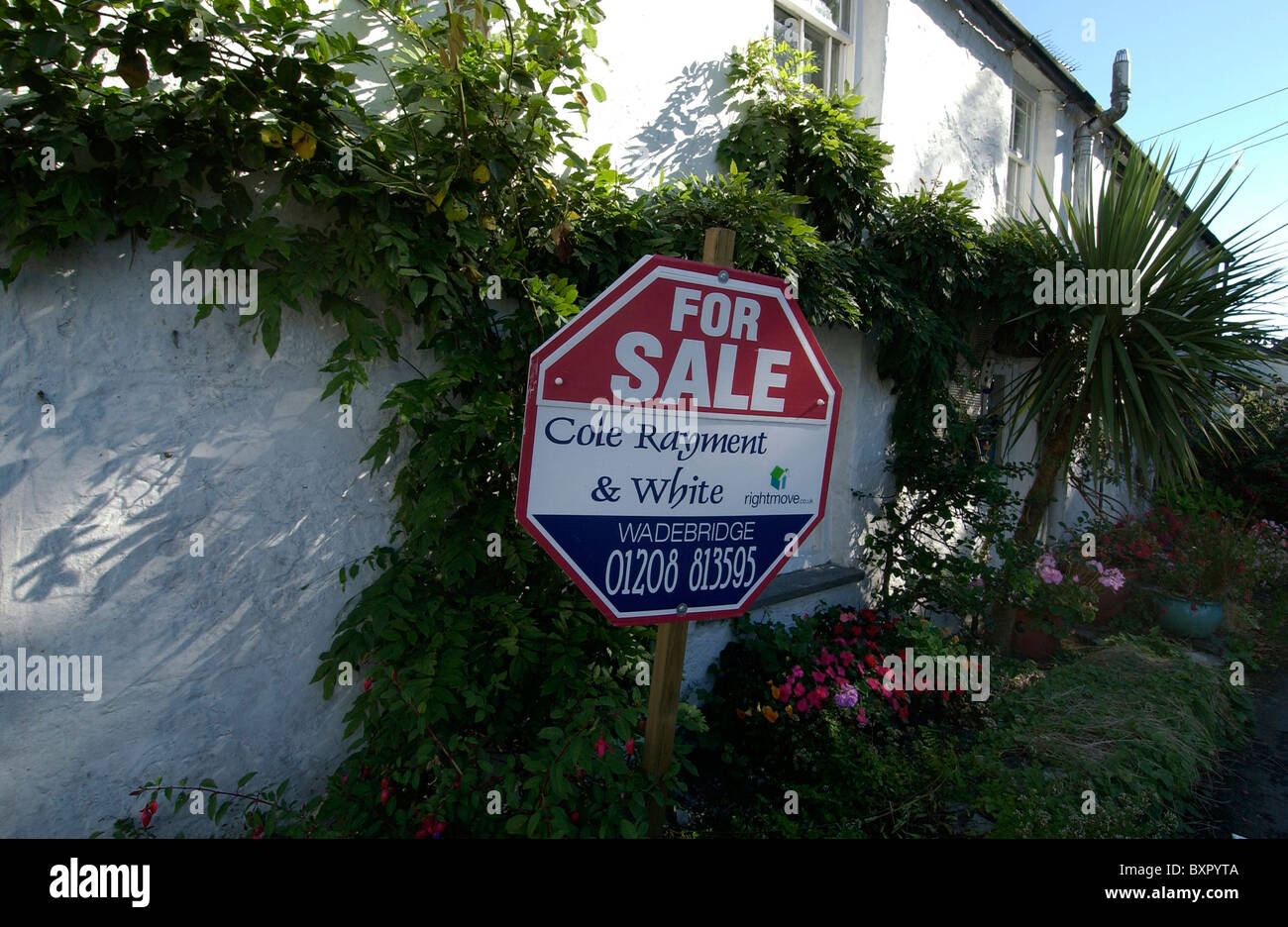 A For Sale sign on a row of idyllic whitewashed Cornish cottages in the ...