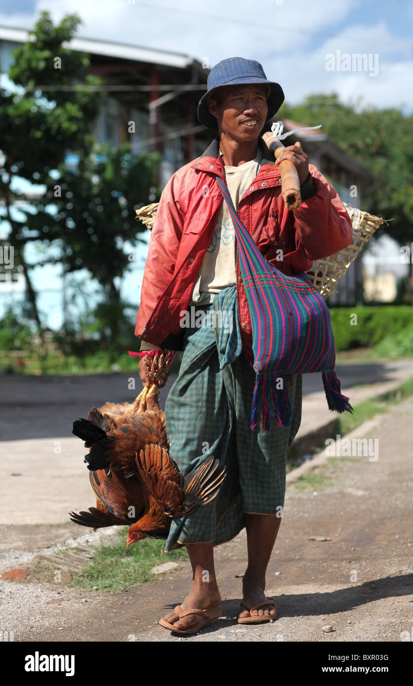 Chcickens hi-res stock photography and images - Alamy