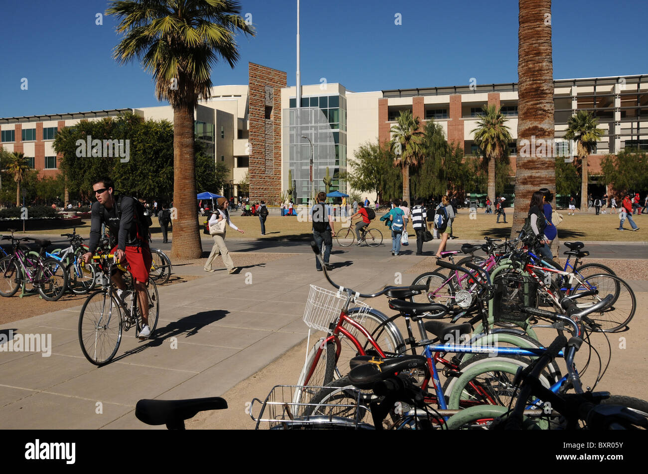 University of Arizona, Tucson, Arizona, USA Stock Photo - Alamy
