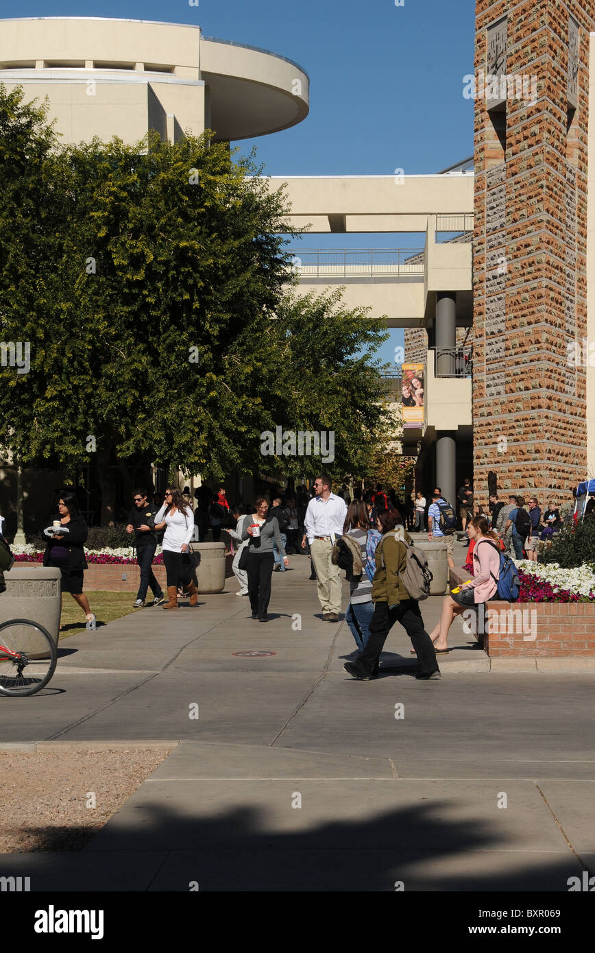 University of Arizona, Tucson, Arizona, USA Stock Photo - Alamy