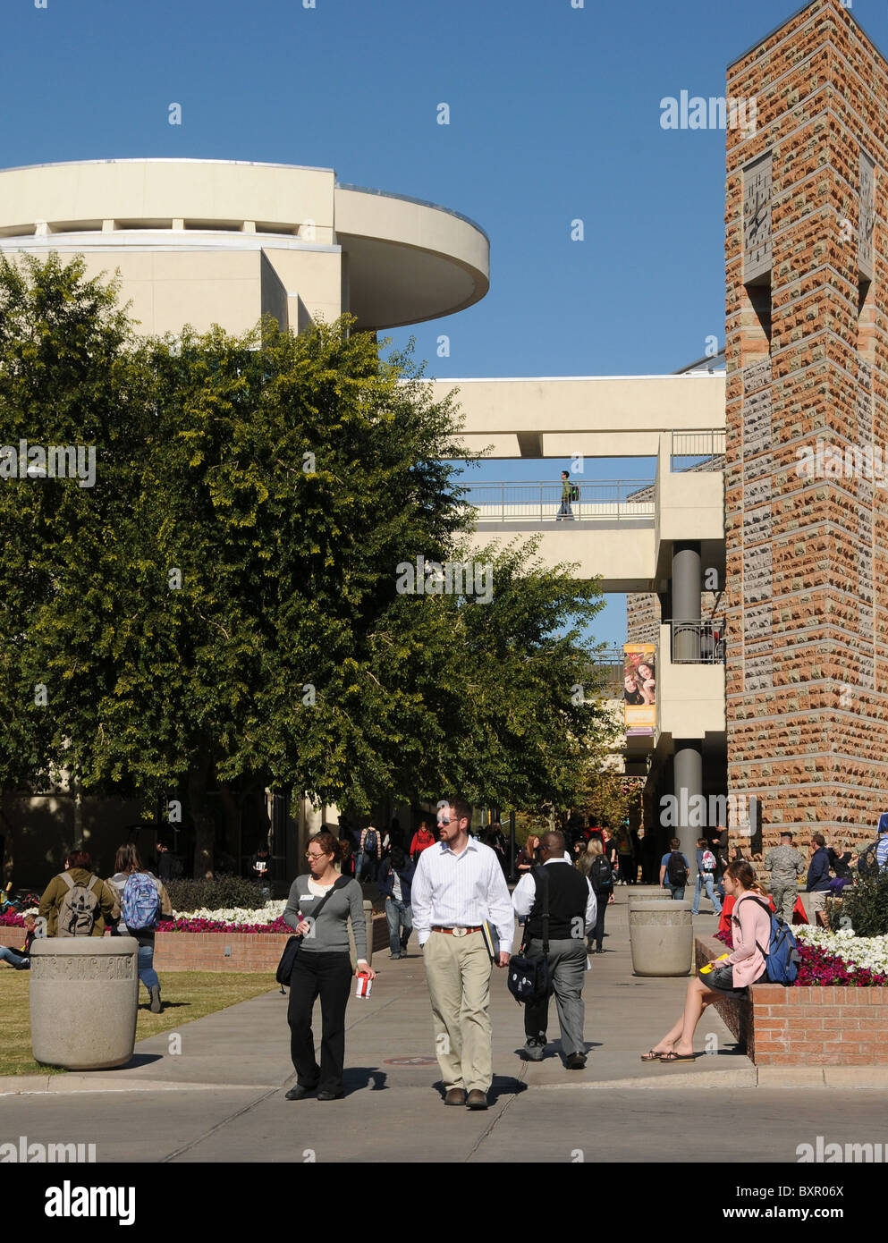 University of Arizona, Tucson, Arizona, USA Stock Photo - Alamy