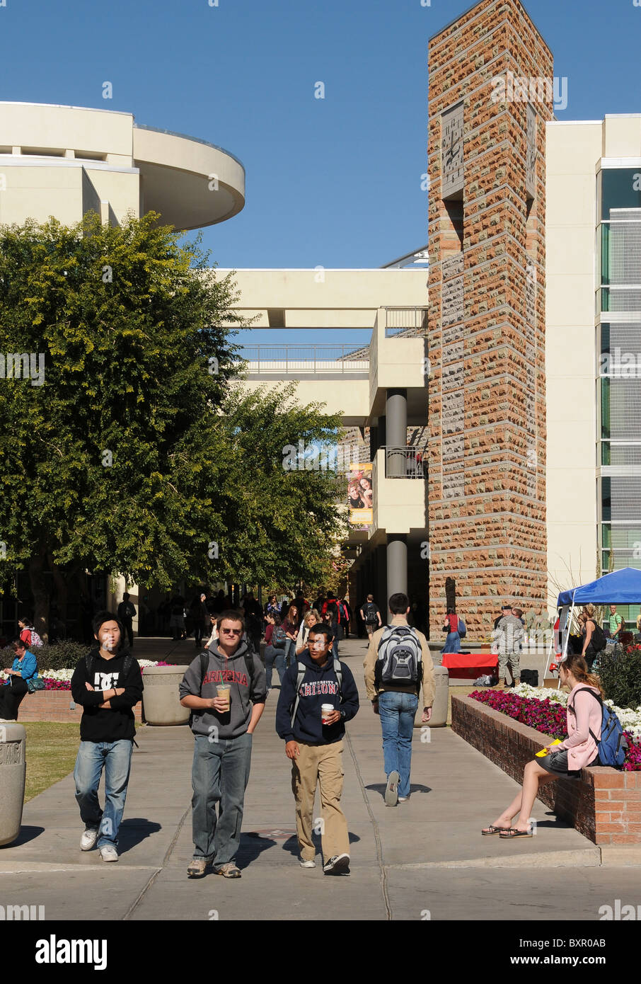 University of Arizona, Tucson, Arizona, USA Stock Photo - Alamy