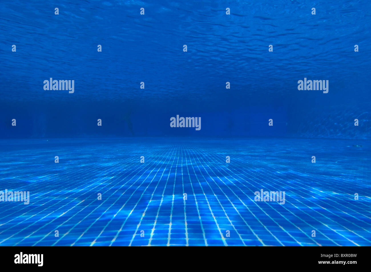 Underwater View Of Empty Swimming Pool Stock Photo - Alamy