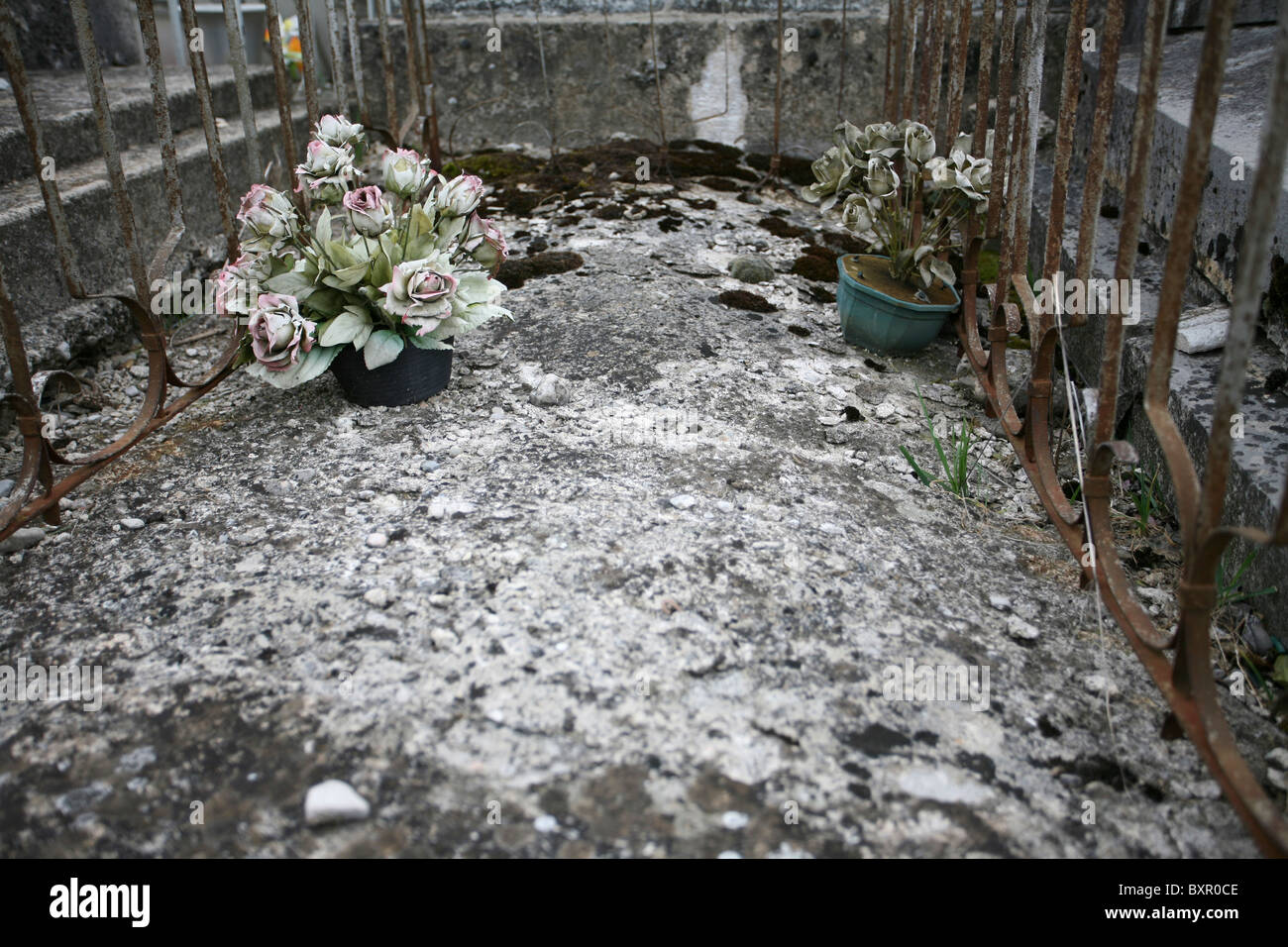 Flowers grave gravesite cemetery hi-res stock photography and images ...