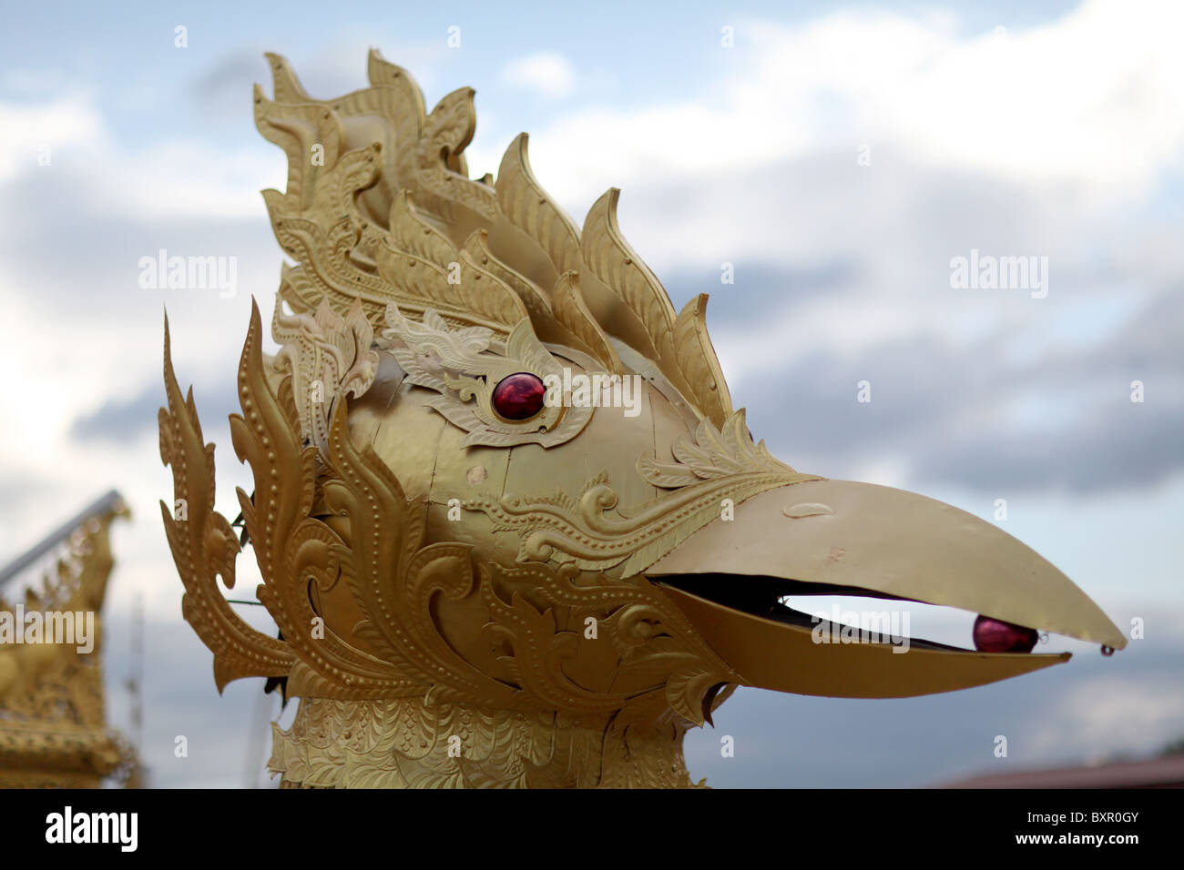 Hintha bird hi-res stock photography and images - Alamy