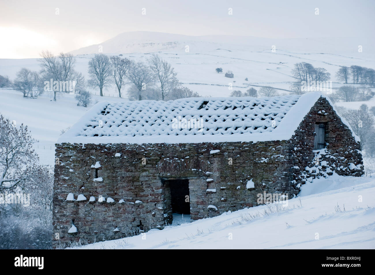 Roofless stone field barn covered in snow Stock Photo - Alamy
