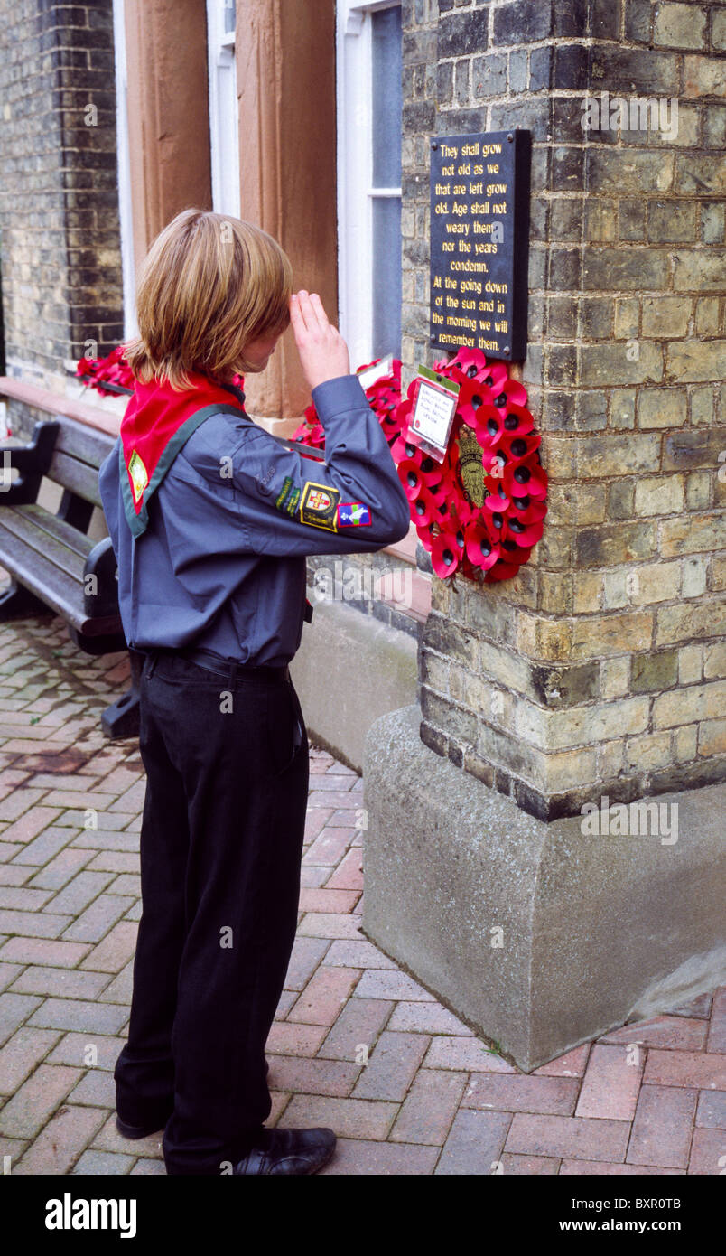 A boy scout saluting a plaque and wreath of poppies on remembrance day ...