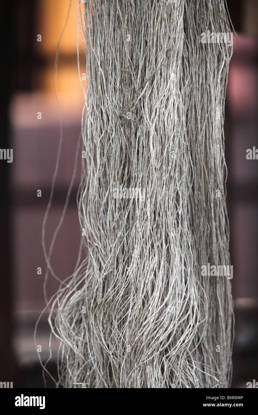 Plant fibers hi-res stock photography and images - Alamy
