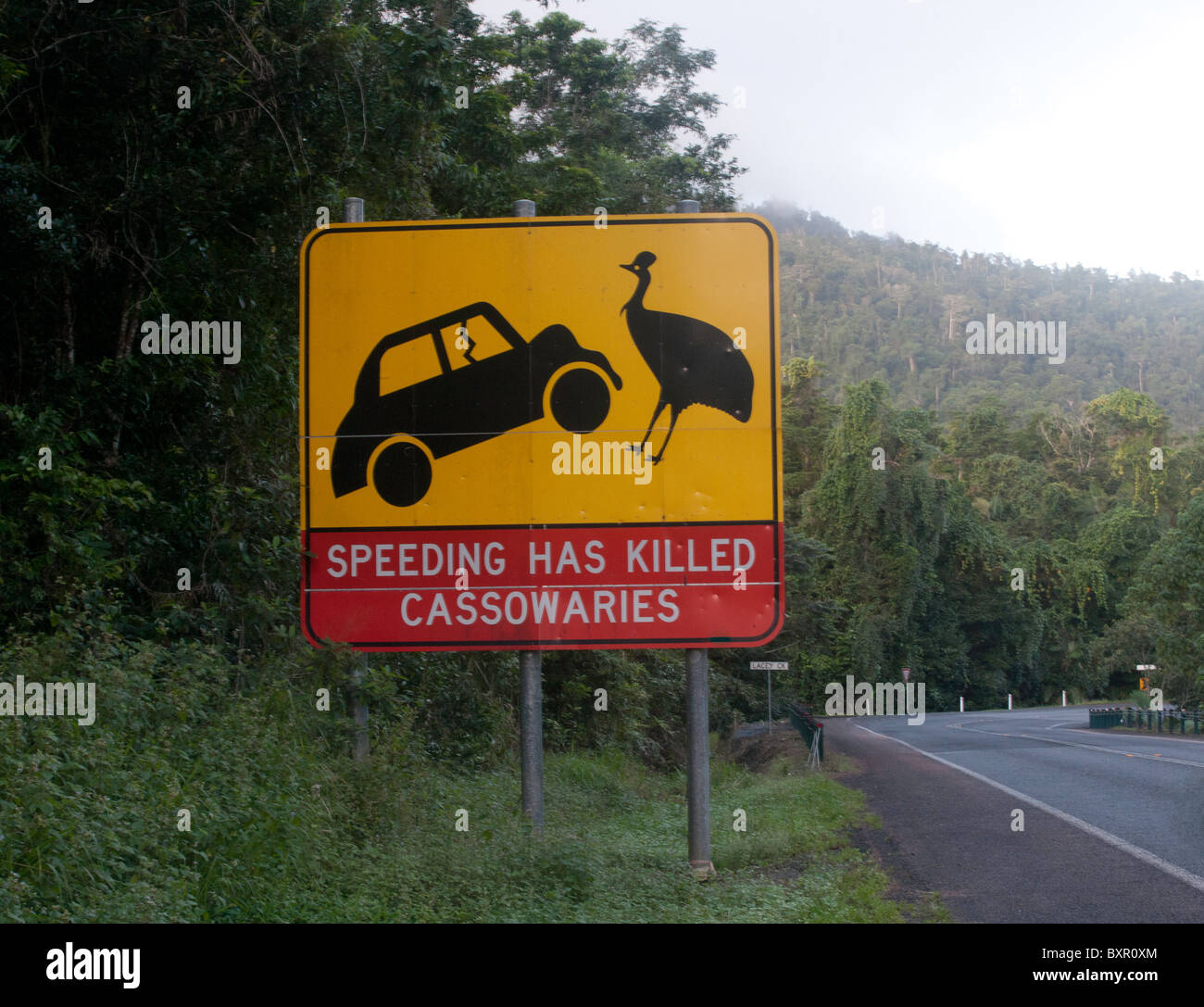 Cassowary warning sign hi-res stock photography and images - Alamy