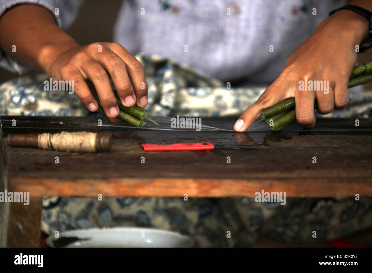 An Intha woman uses lotus plant fibers to make a lotus thread for fine ...
