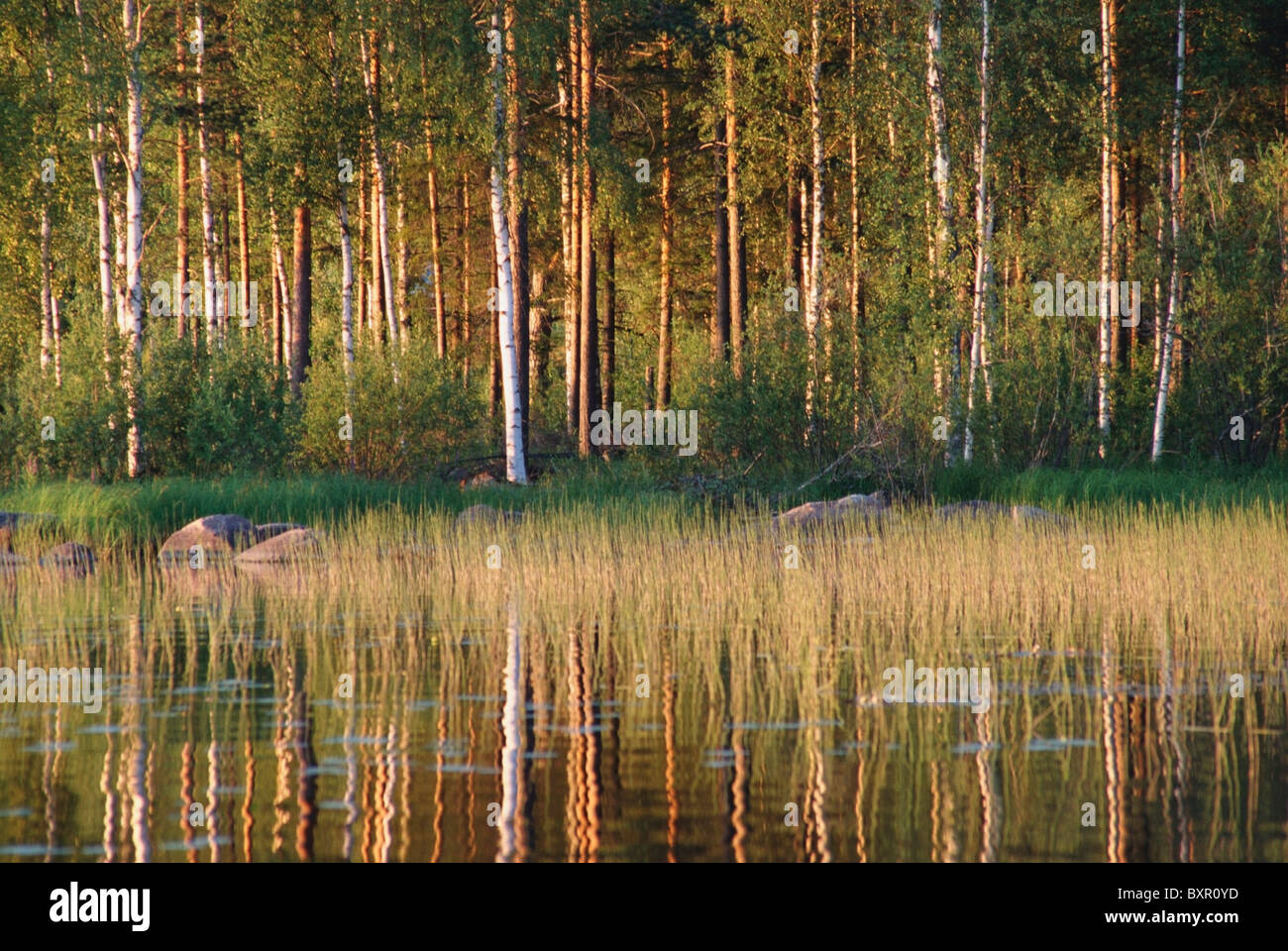 Horizontal landscape close up detail hi-res stock photography and ...
