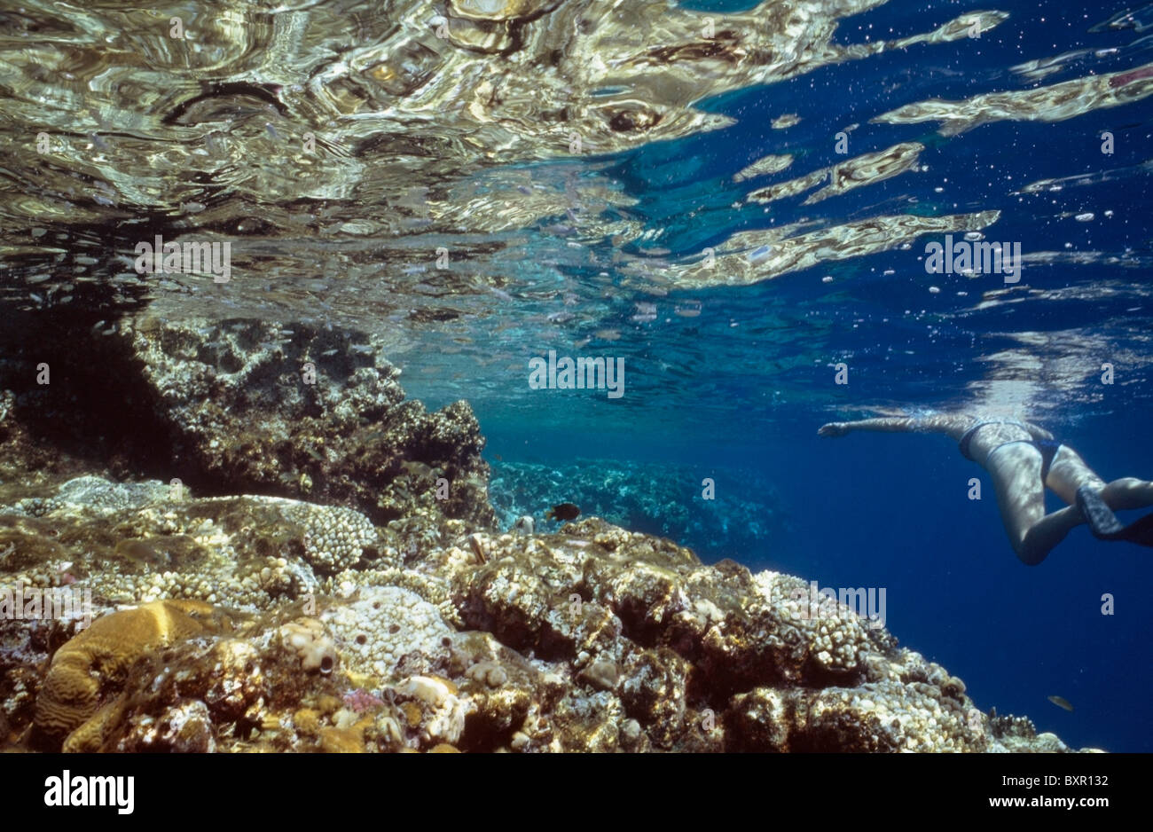 Underwater swimmers legs hi-res stock photography and images - Alamy