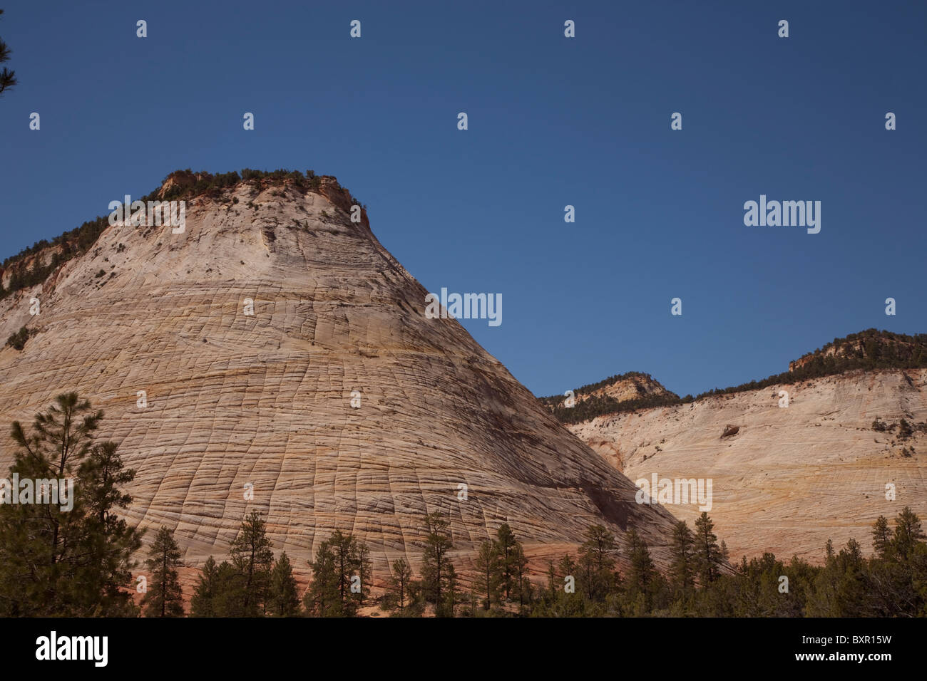 Checkerboard Mesa in Zion Canyon National Park in Utah USA on a sunny ...