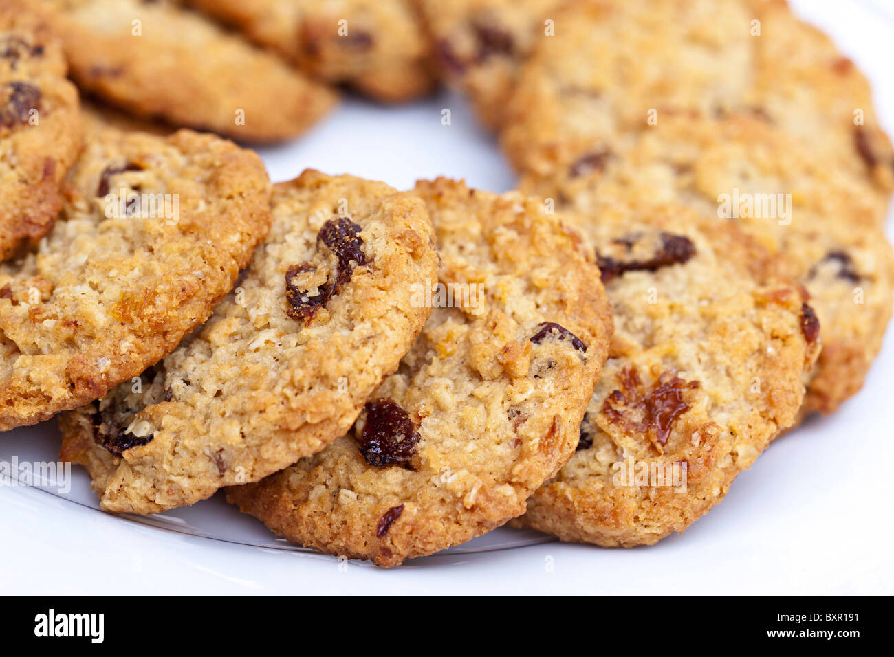 sultana cookie biscuits Stock Photo - Alamy
