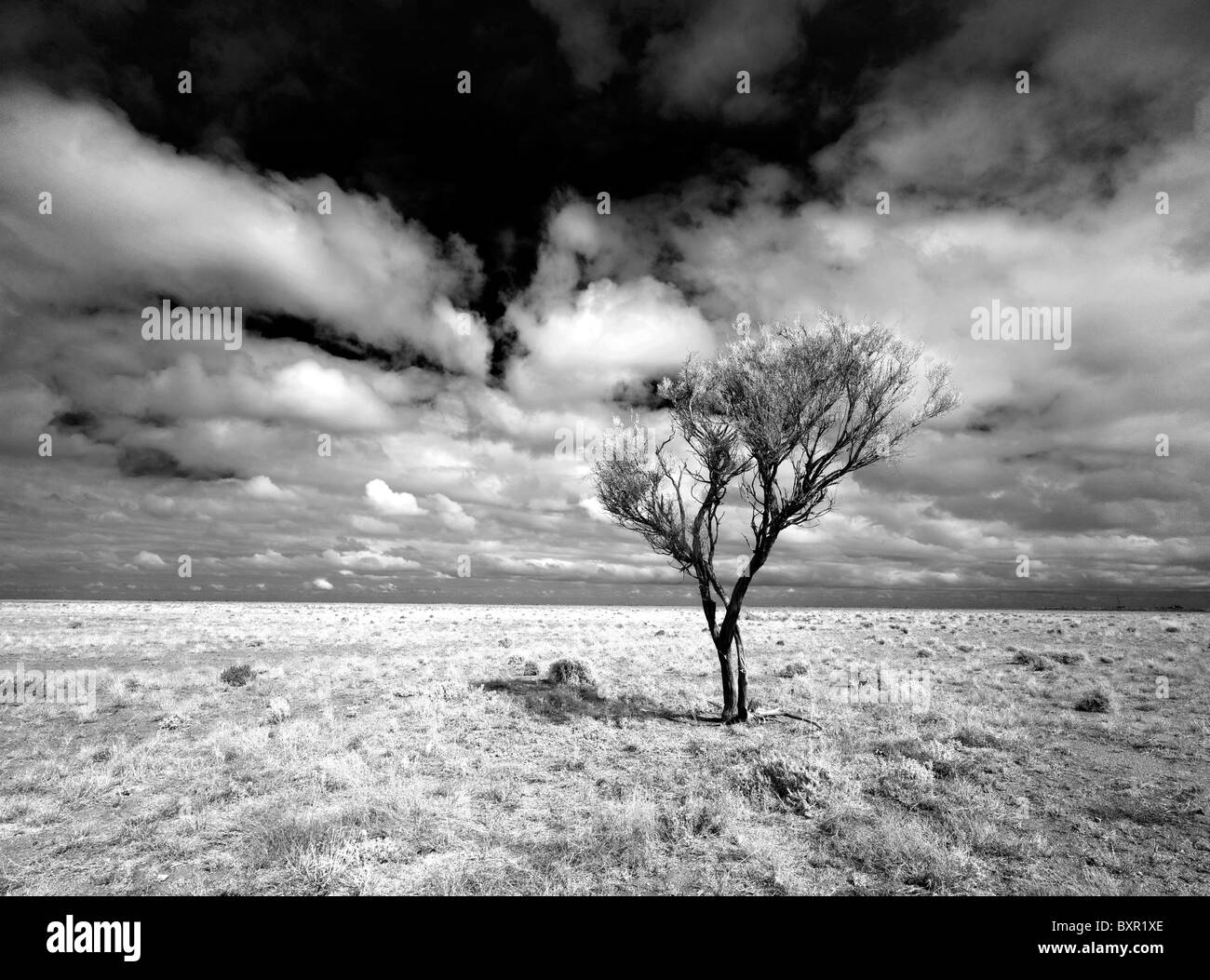 Expanse of space, grazing country, Barrier Highway, NSW Outback ...