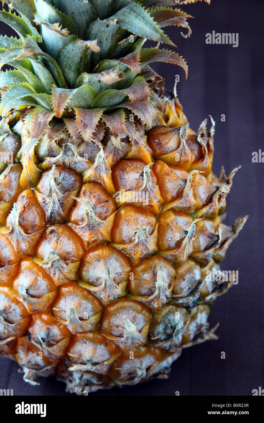 Fibonacci Sequence In Nature Pineapple