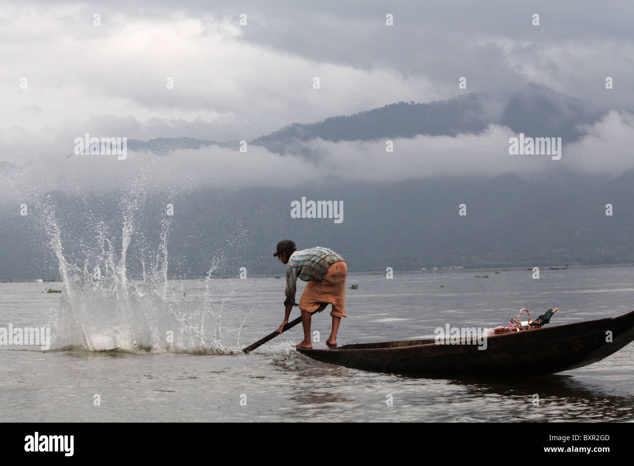 Shock fish hi-res stock photography and images - Alamy