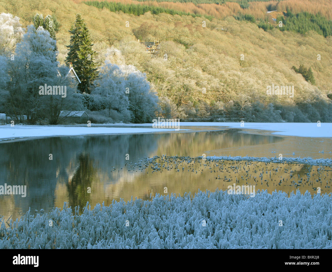 Loch Ard Stirlingshire Scotland Stock Photo - Alamy