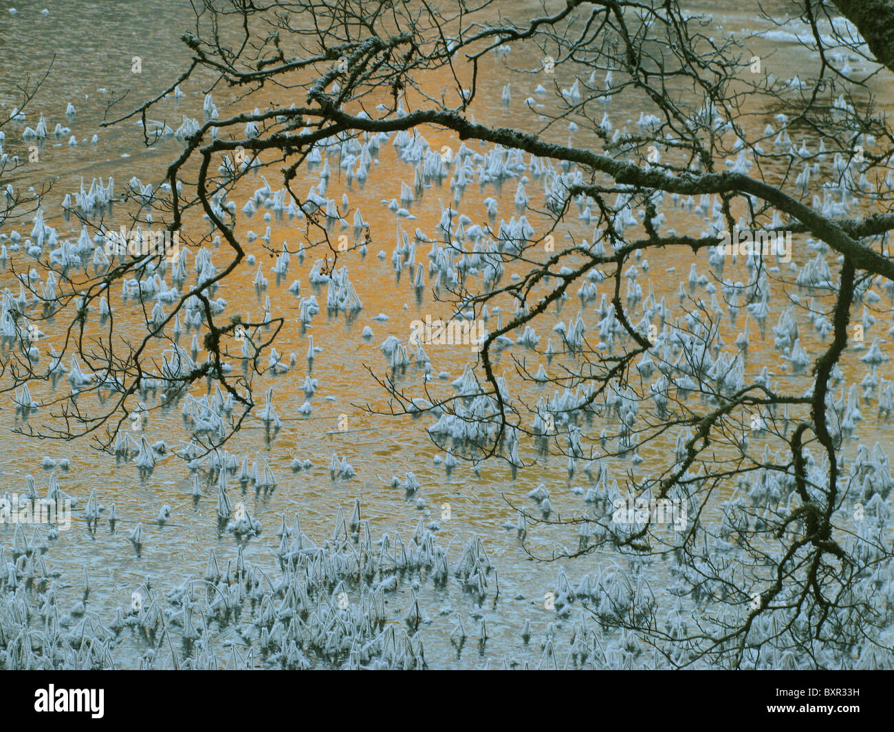 Loch Ard Stirlingshire Scotland Stock Photo - Alamy