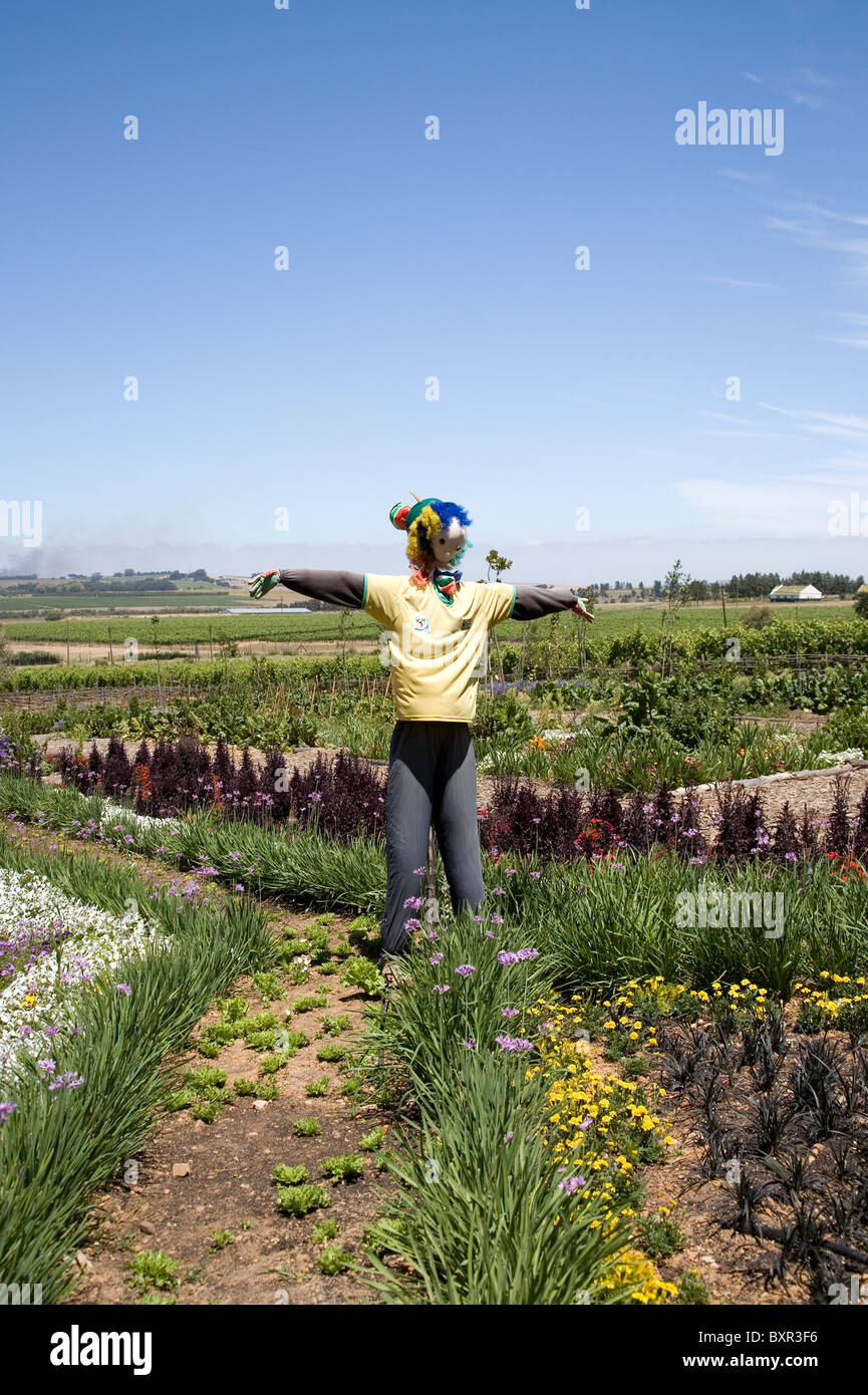 Africa scarecrow hi-res stock photography and images - Alamy