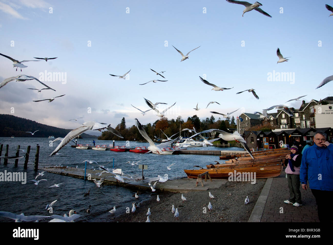 Bowness Bay front with seagulls Stock Photo - Alamy