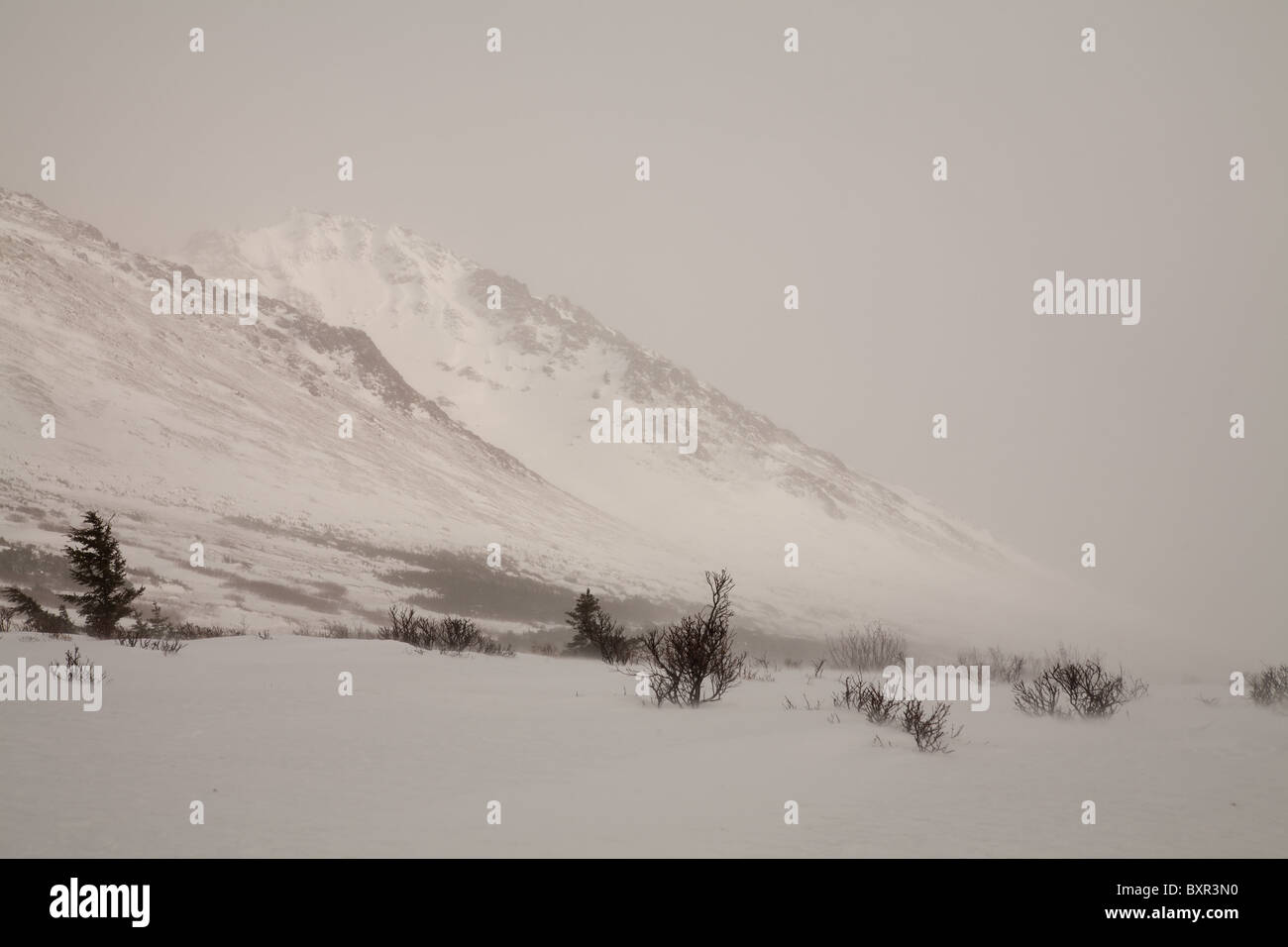 Blizzard conditions in a mountainscape Stock Photo - Alamy