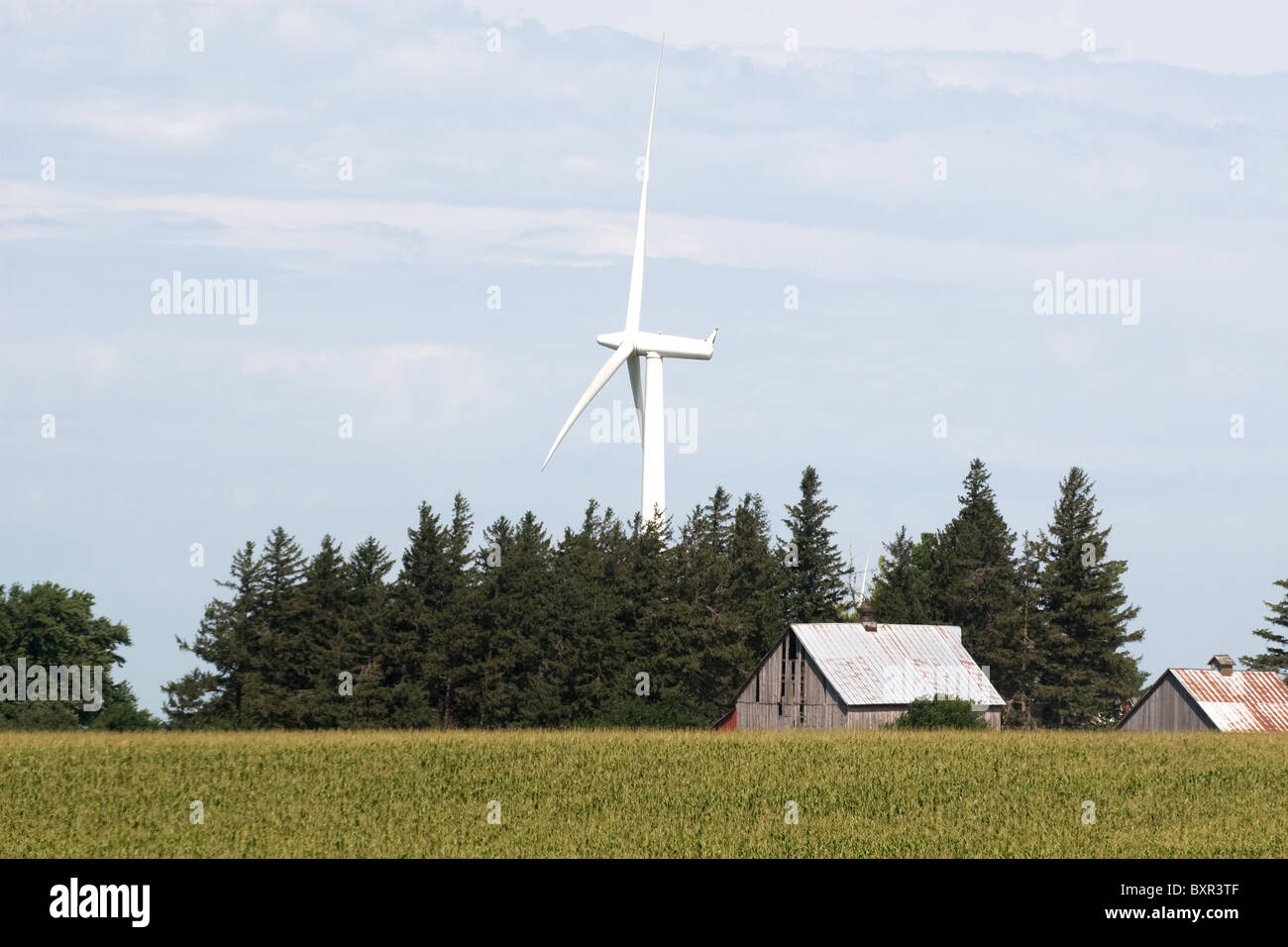 Iowa Barns High Resolution Stock Photography and Images - Alamy
