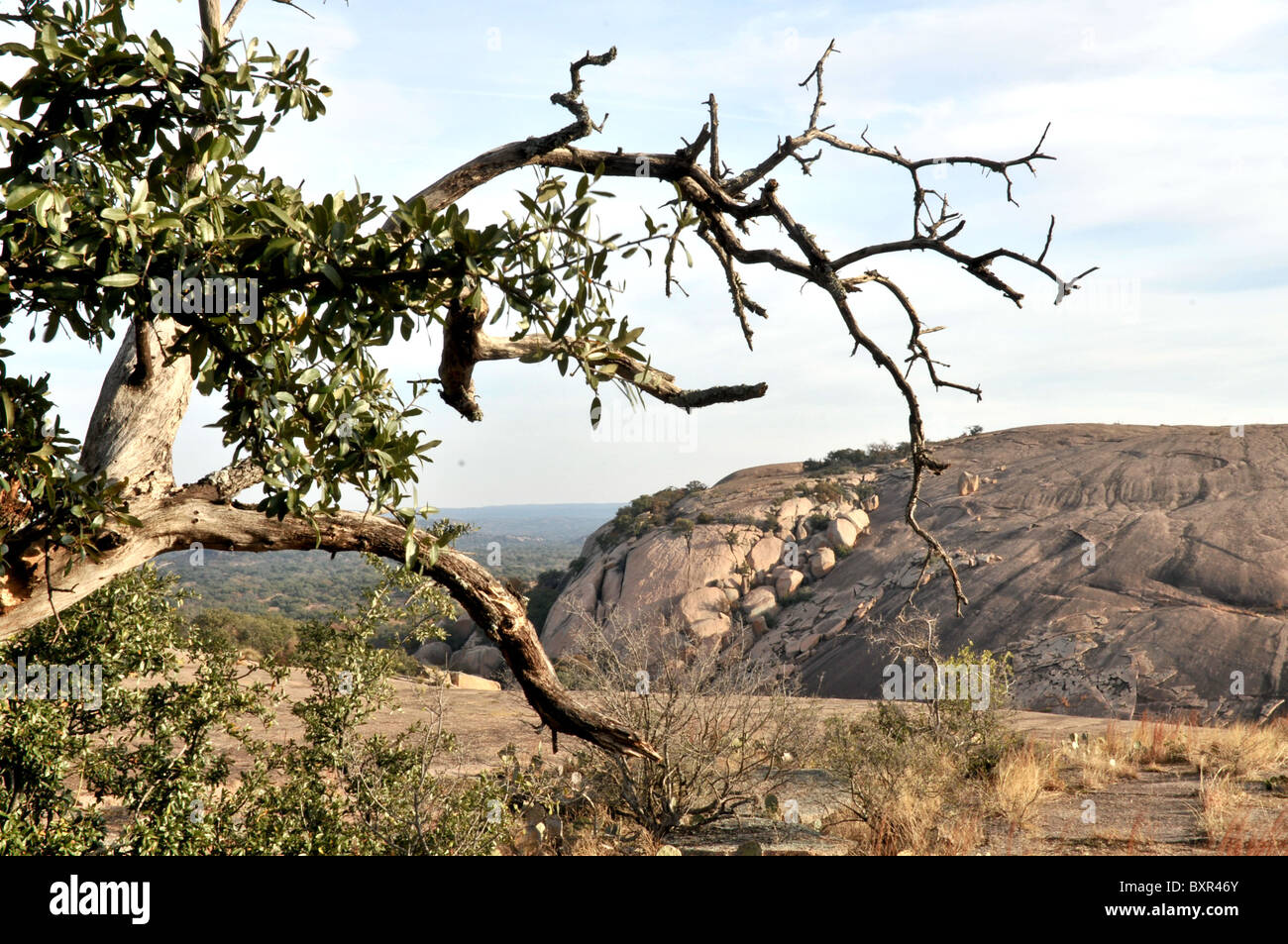 Exfoliation rock hi-res stock photography and images - Alamy