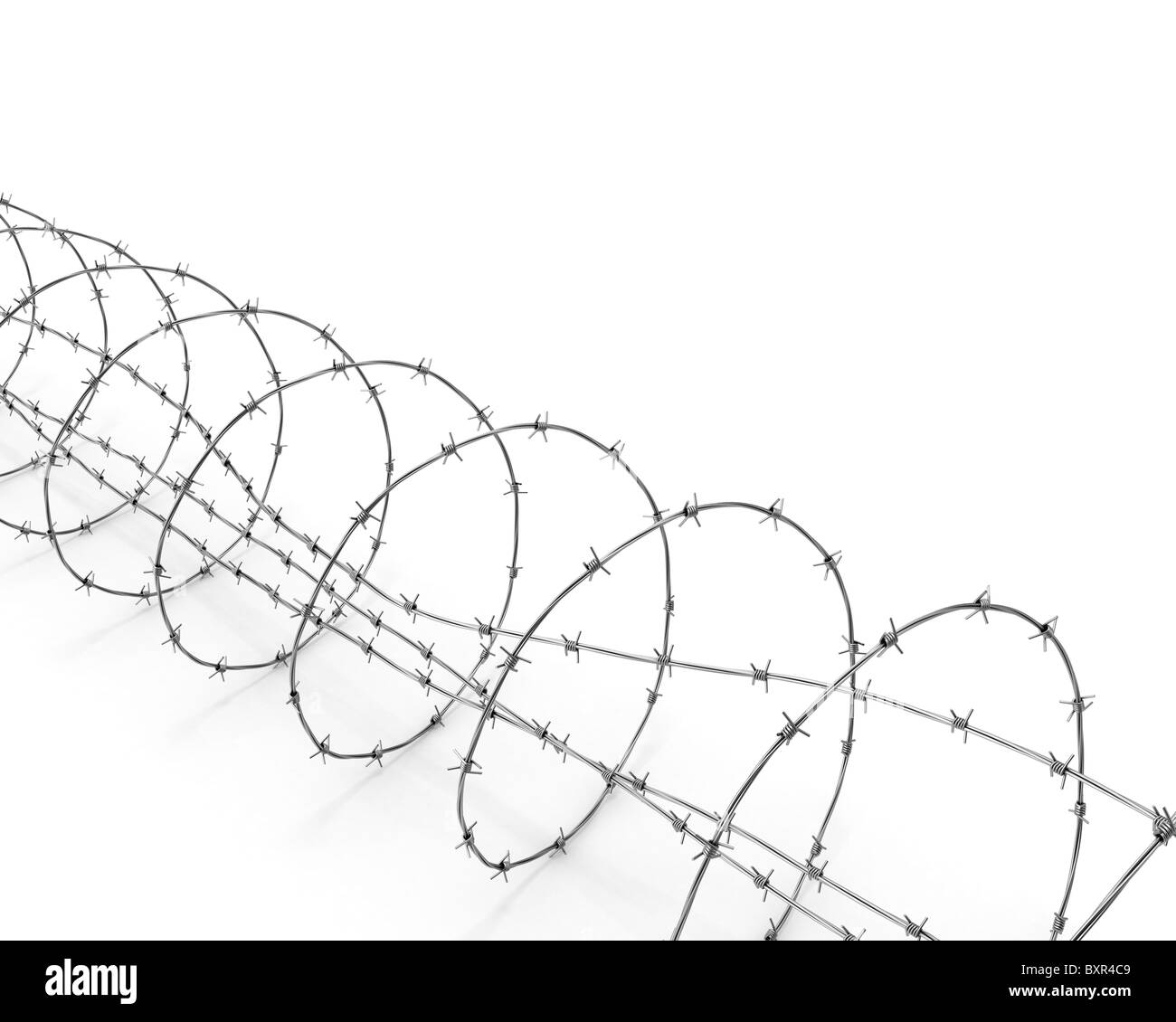 Barbed wire diagonal isolated on white bacground Stock Photo - Alamy