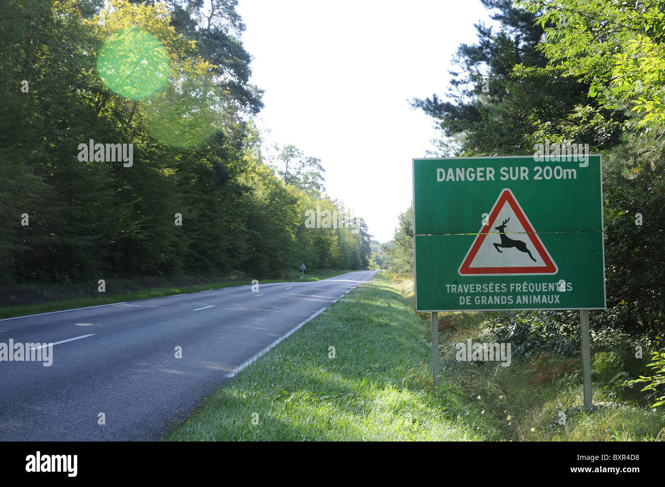 Sign warning of danger for 200 metres because of frequent crossings by ...