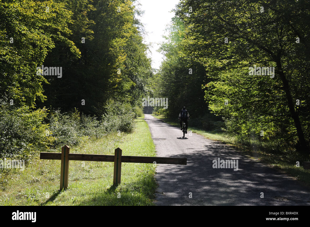 Compiegne Forest High Resolution Stock Photography and Images - Alamy