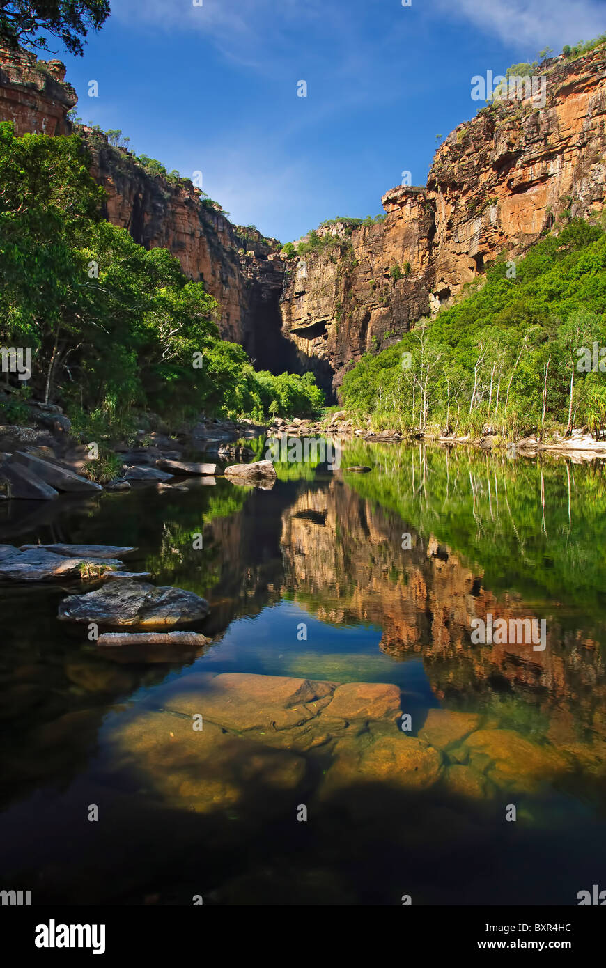 Kakadu hi-res stock photography and images - Alamy