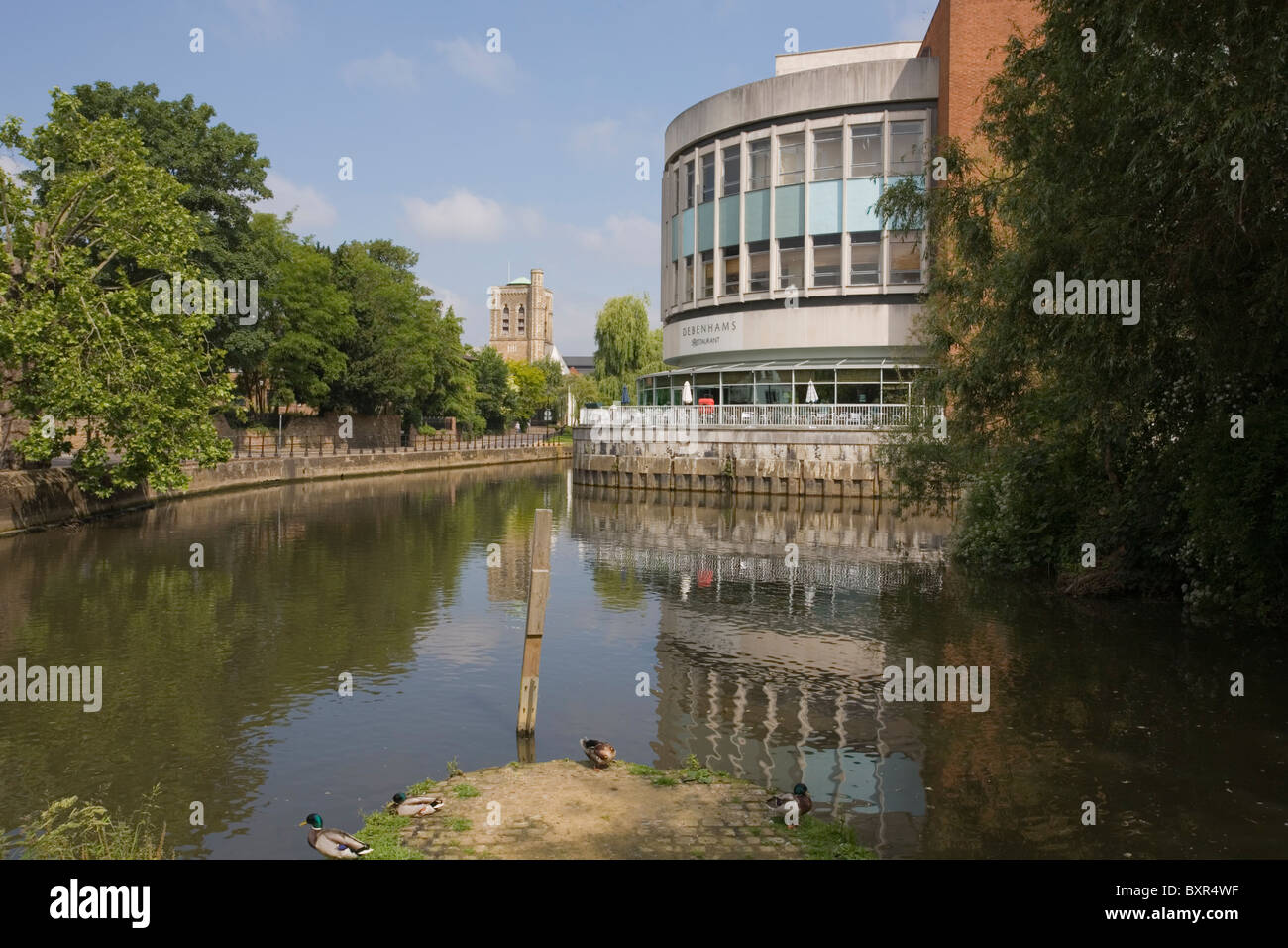 River Wey Guildford Surrey Stock Photo - Alamy