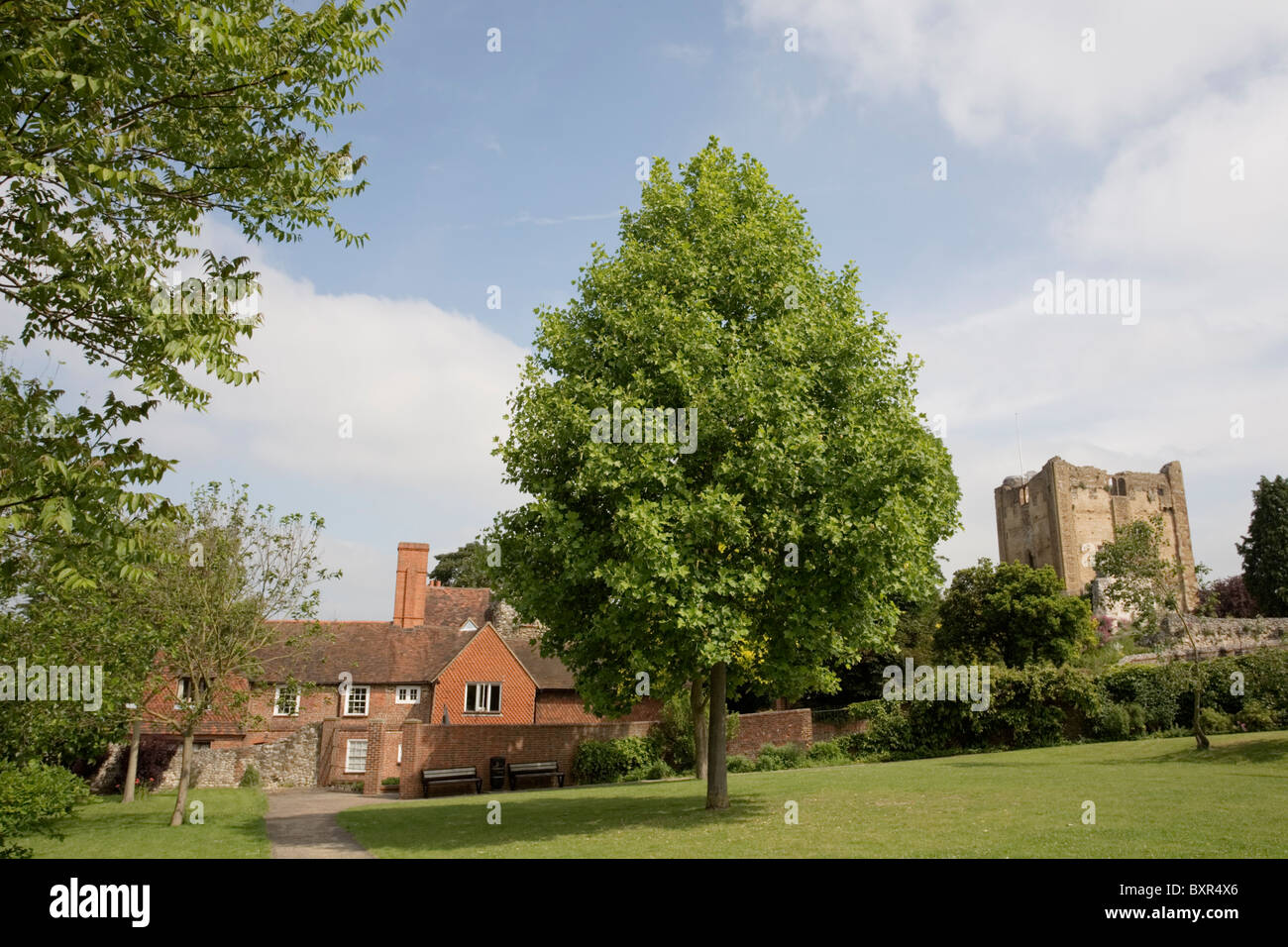 Museum and Castle from the Green, Guildford Surrey Stock Photo - Alamy