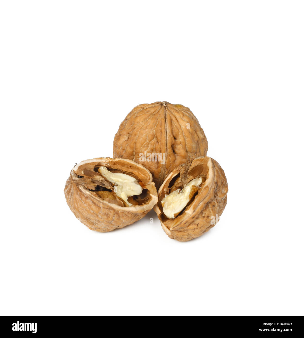 Walnut isolated on a white background with the kernel Stock Photo - Alamy