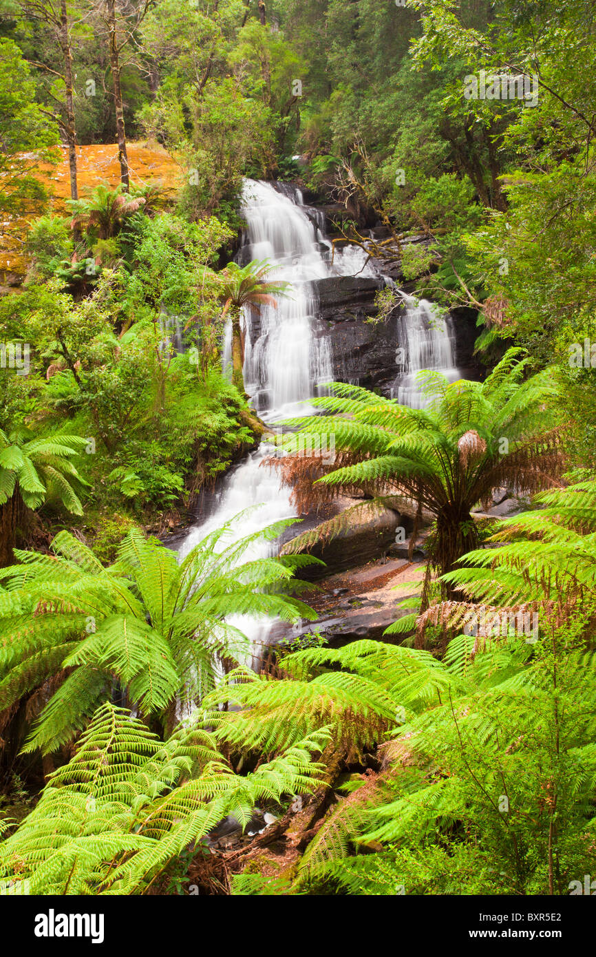Triplet Falls, Great Otway National Park, Great Ocean Road, Lavers Hill ...