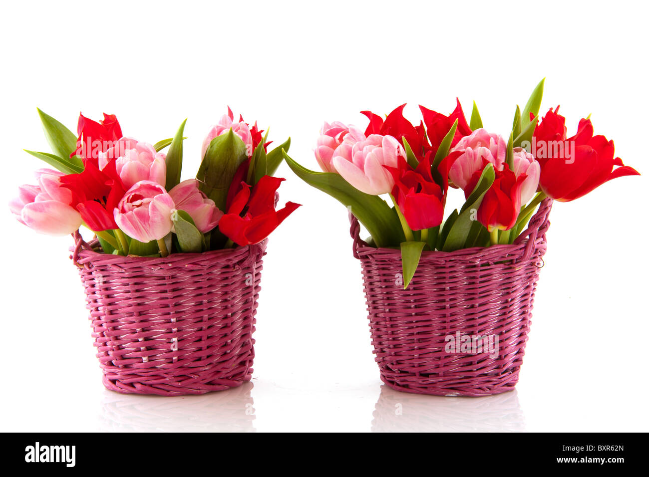 Pink cane wicked baskets with colorful tulips Stock Photo - Alamy