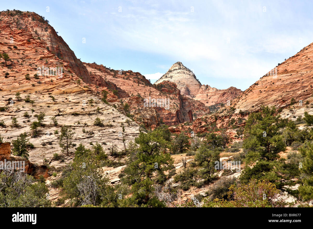 Carmel mountain national park hi-res stock photography and images - Alamy