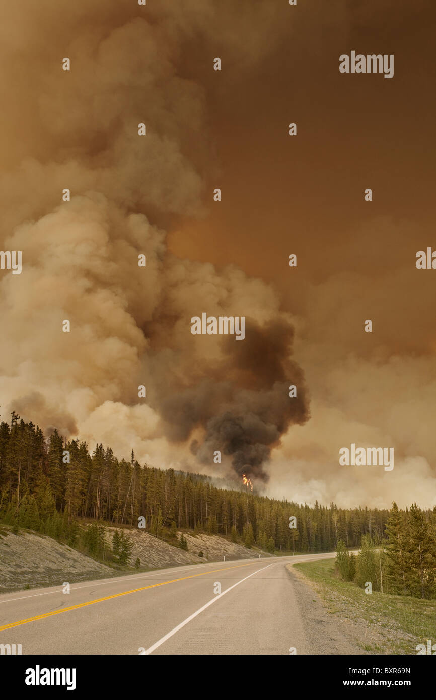 Column of Smoke Rises From Forest Fire, Banff National Park, Alberta ...