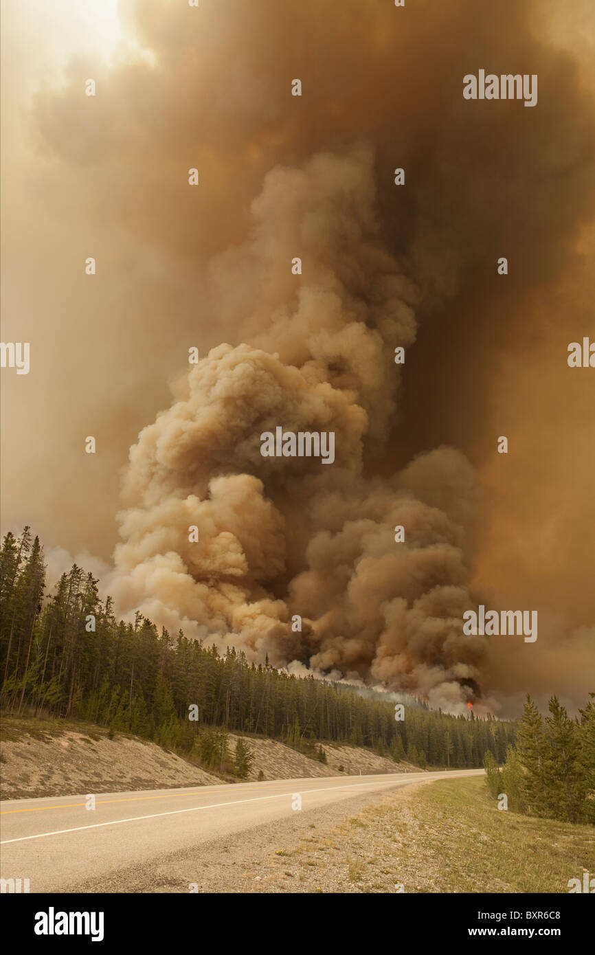 Massive Column of Smoke Rises Above Forest Fire, Banff National Park ...