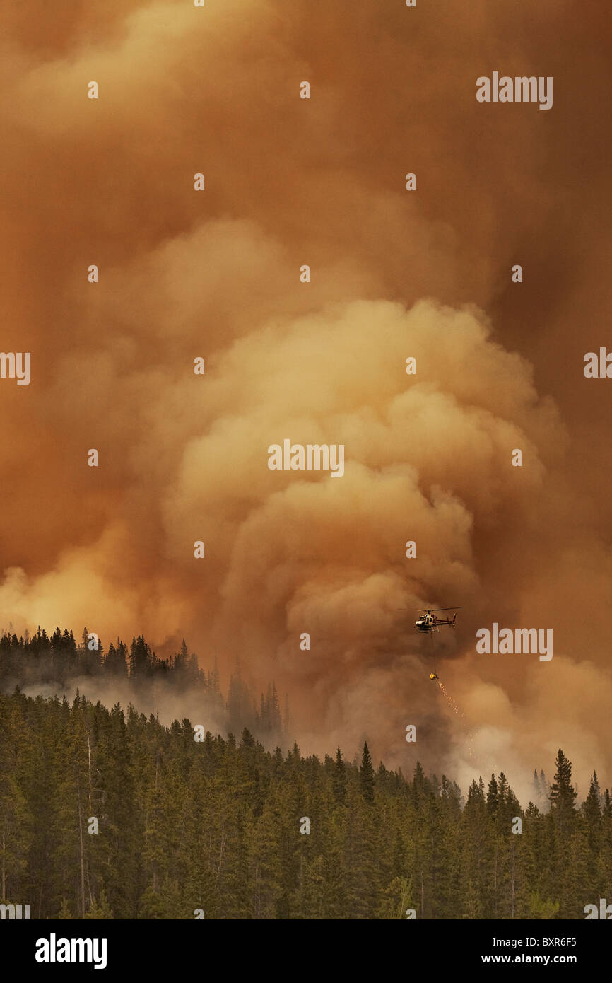Firefighting Helicopter is Dwarfed by Columns of Smoke Rising From ...