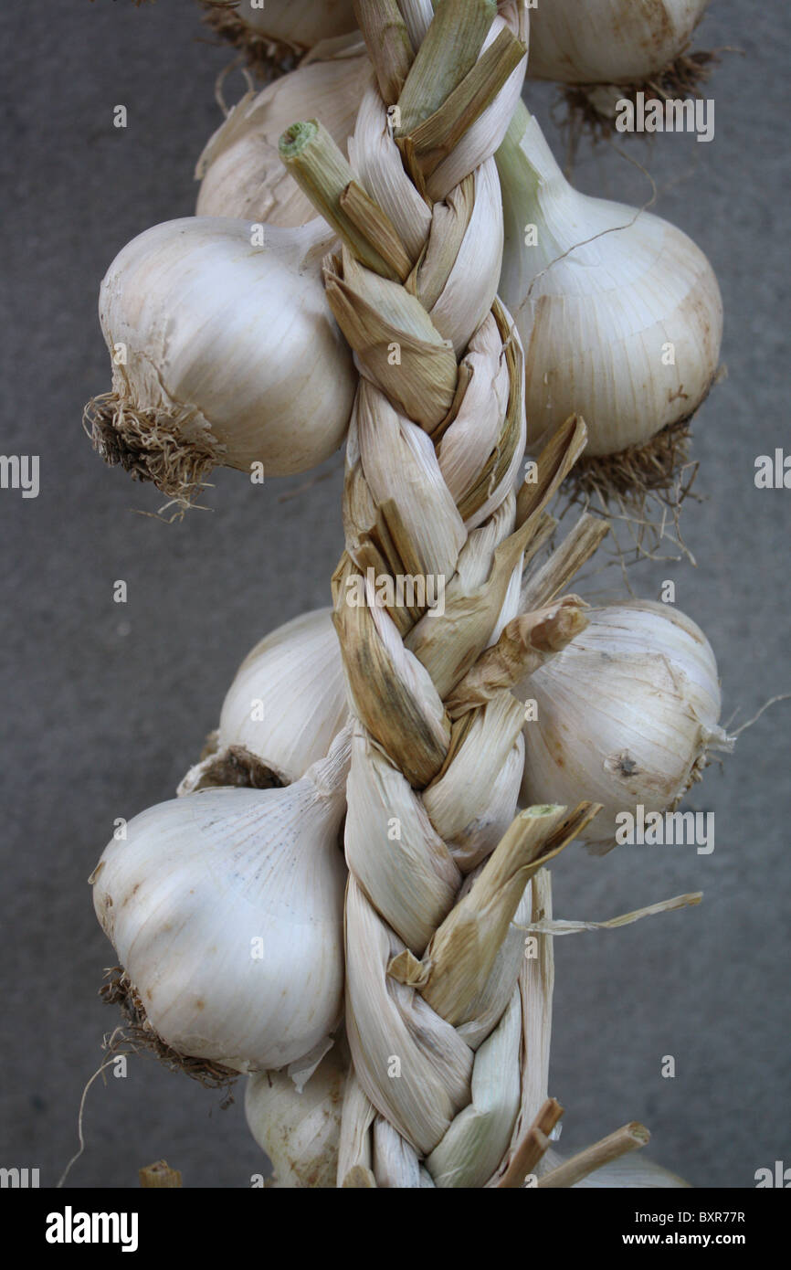 Hanging herbs bed hi-res stock photography and images - Alamy