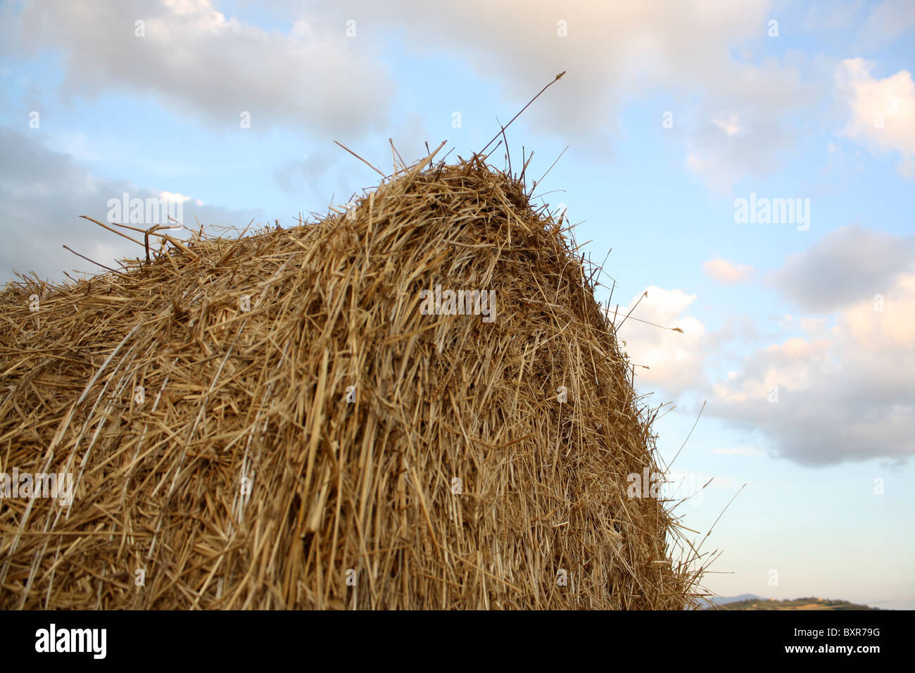 Haybail hi-res stock photography and images - Alamy