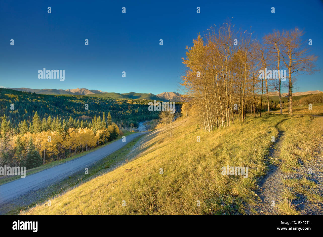 Road and Trail in Fall Colour, Kananaskis Country, Alberta, Canada ...