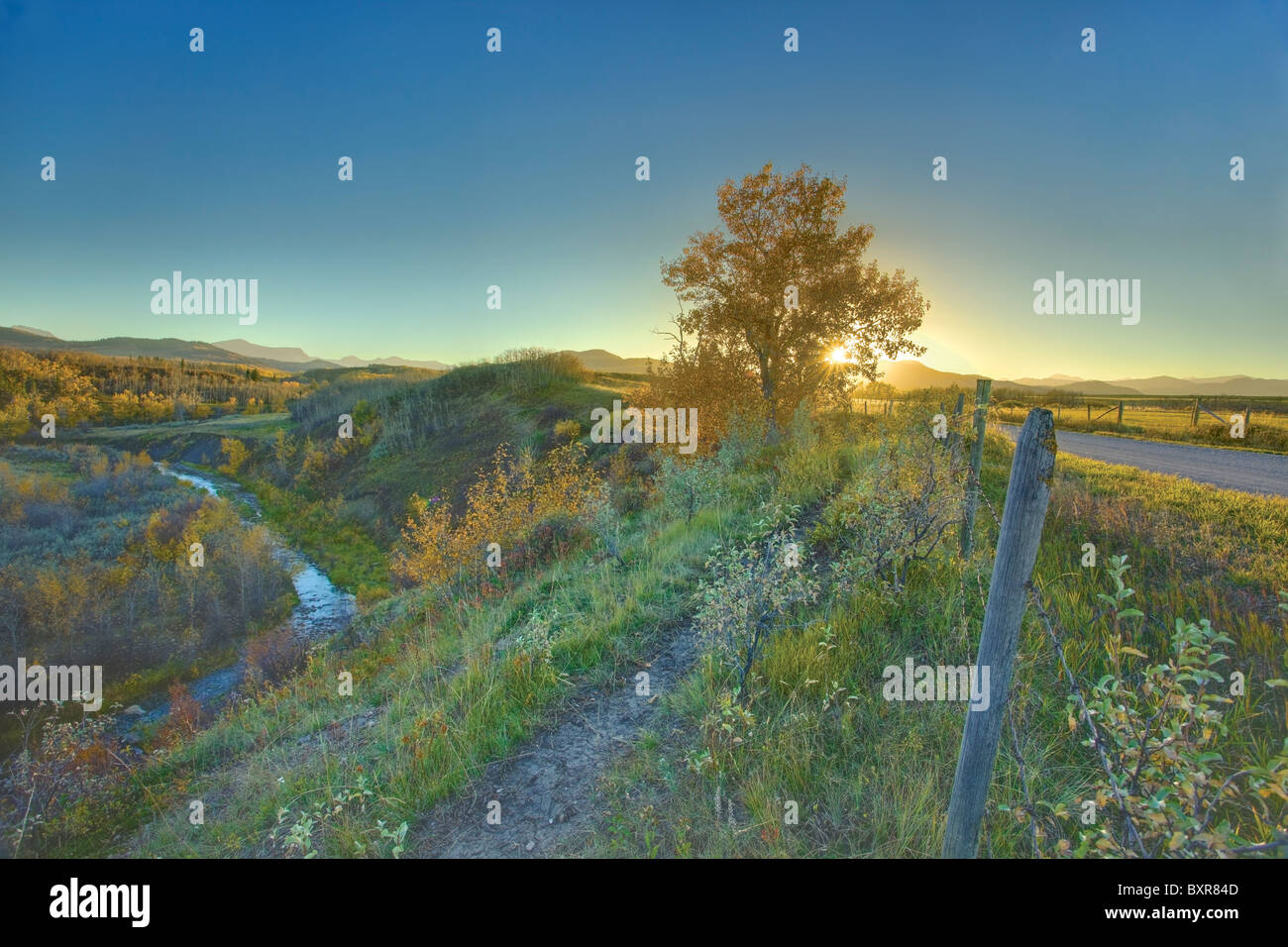 Foothill Landscape at Sunset, Alberta, Canada Stock Photo - Alamy