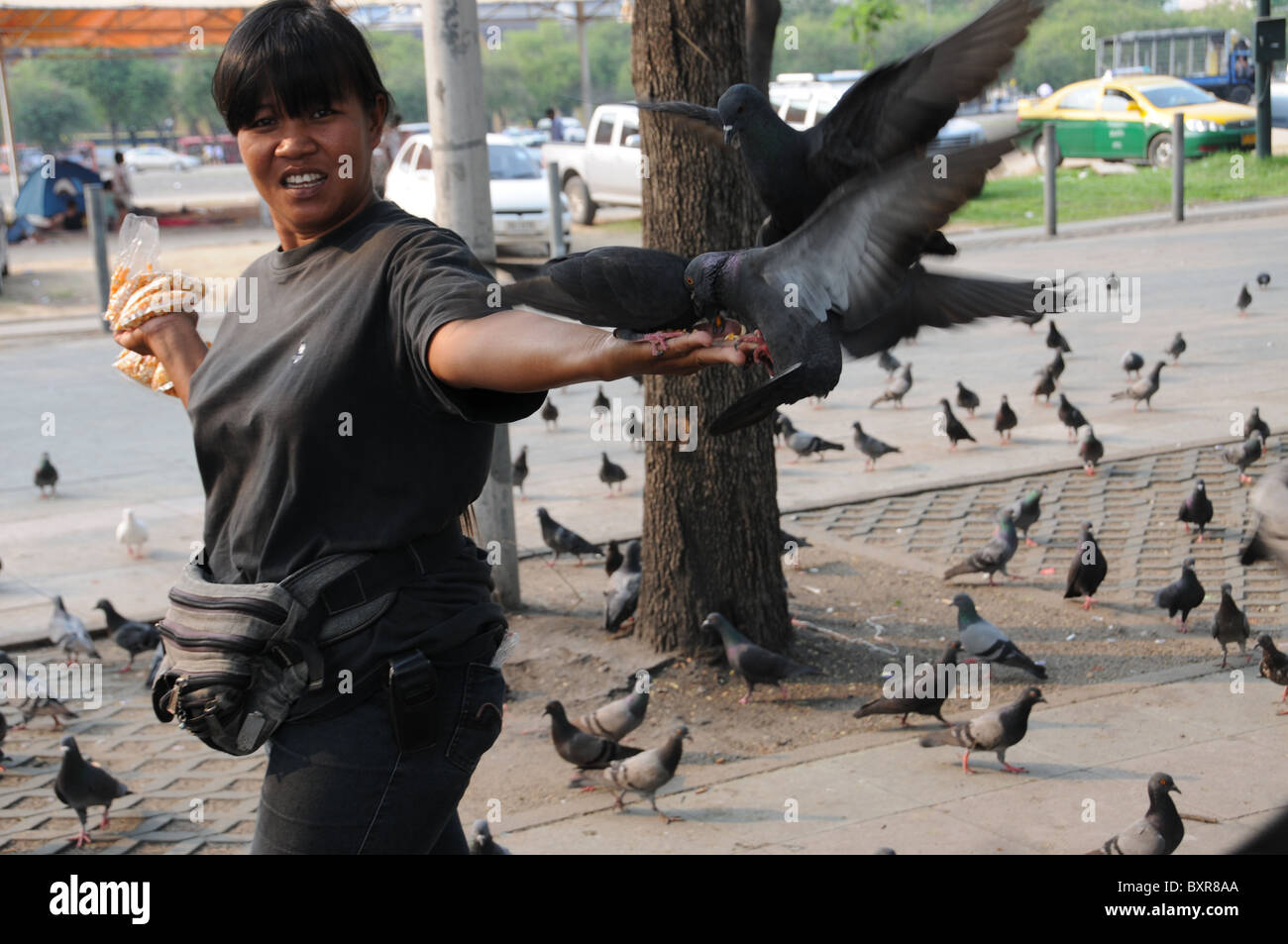 Humans playing with birds hi-res stock photography and images - Alamy