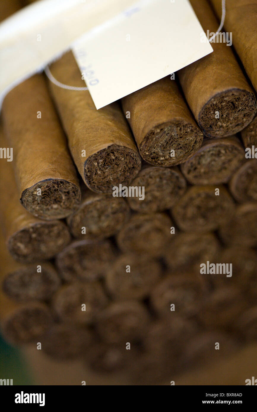 Stack of hand rolled cigars hi-res stock photography and images - Alamy