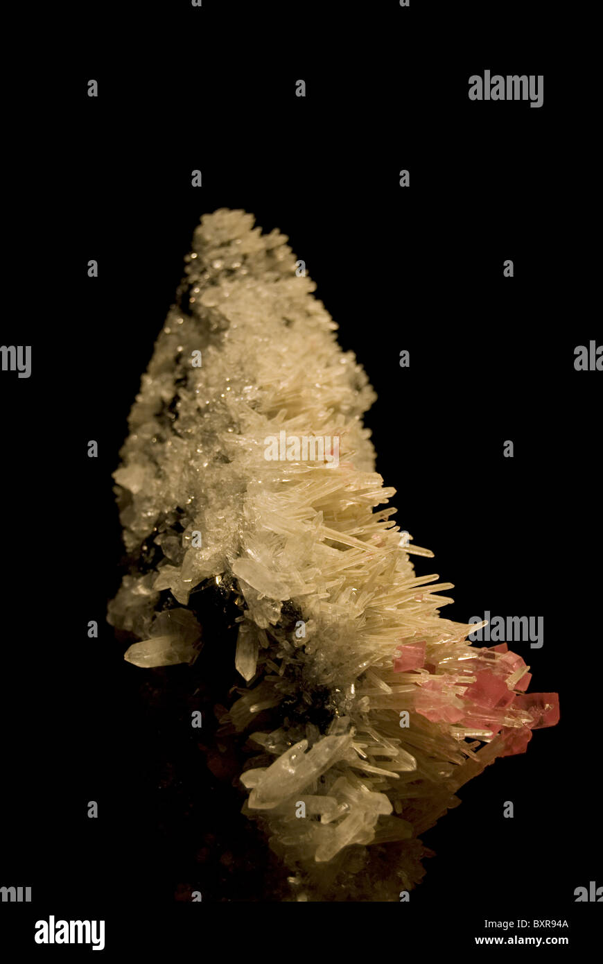 Gargoti museum hi-res stock photography and images - Alamy