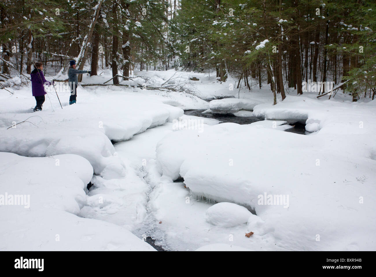 Stream in woodland after heavy snow; midwinter on the Robert Ingalls ...